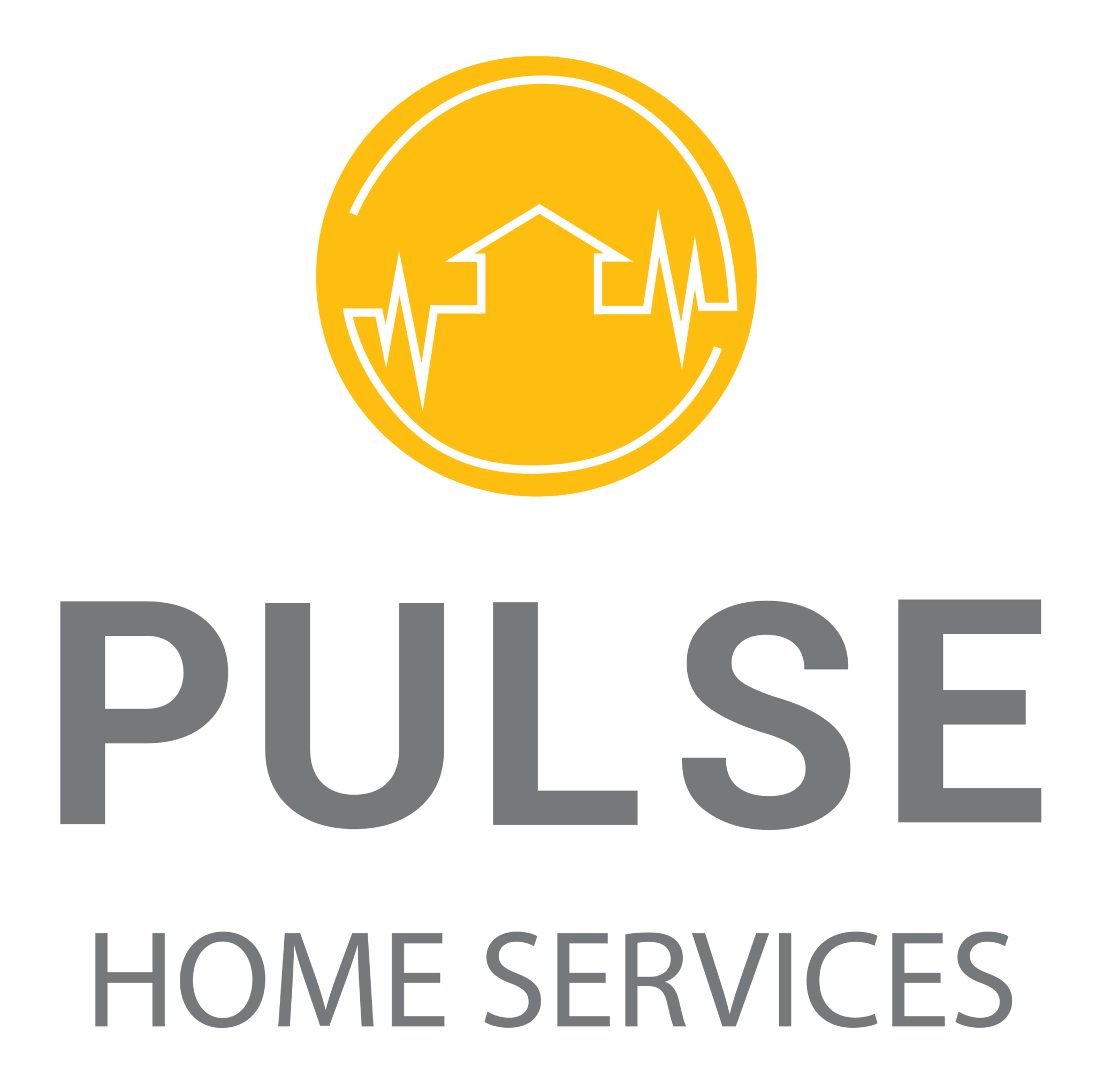Test Tag Franchises Pulse Home Services test-tag-franchises-pulse-home-services